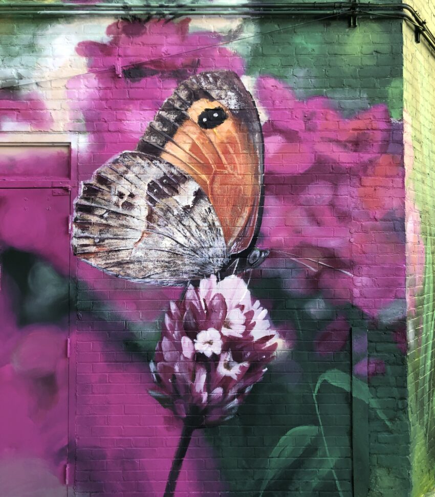 Buckingham Companies | About